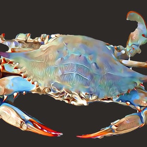 Stylized Blue Crab Digital Image on a Black Background - Etsy