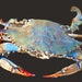Stylized Blue Crab Digital Image on a Black Background - Etsy