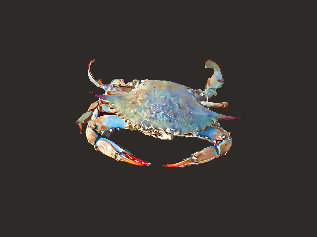 Stylized Blue Crab Digital Image on a Black Background - Etsy