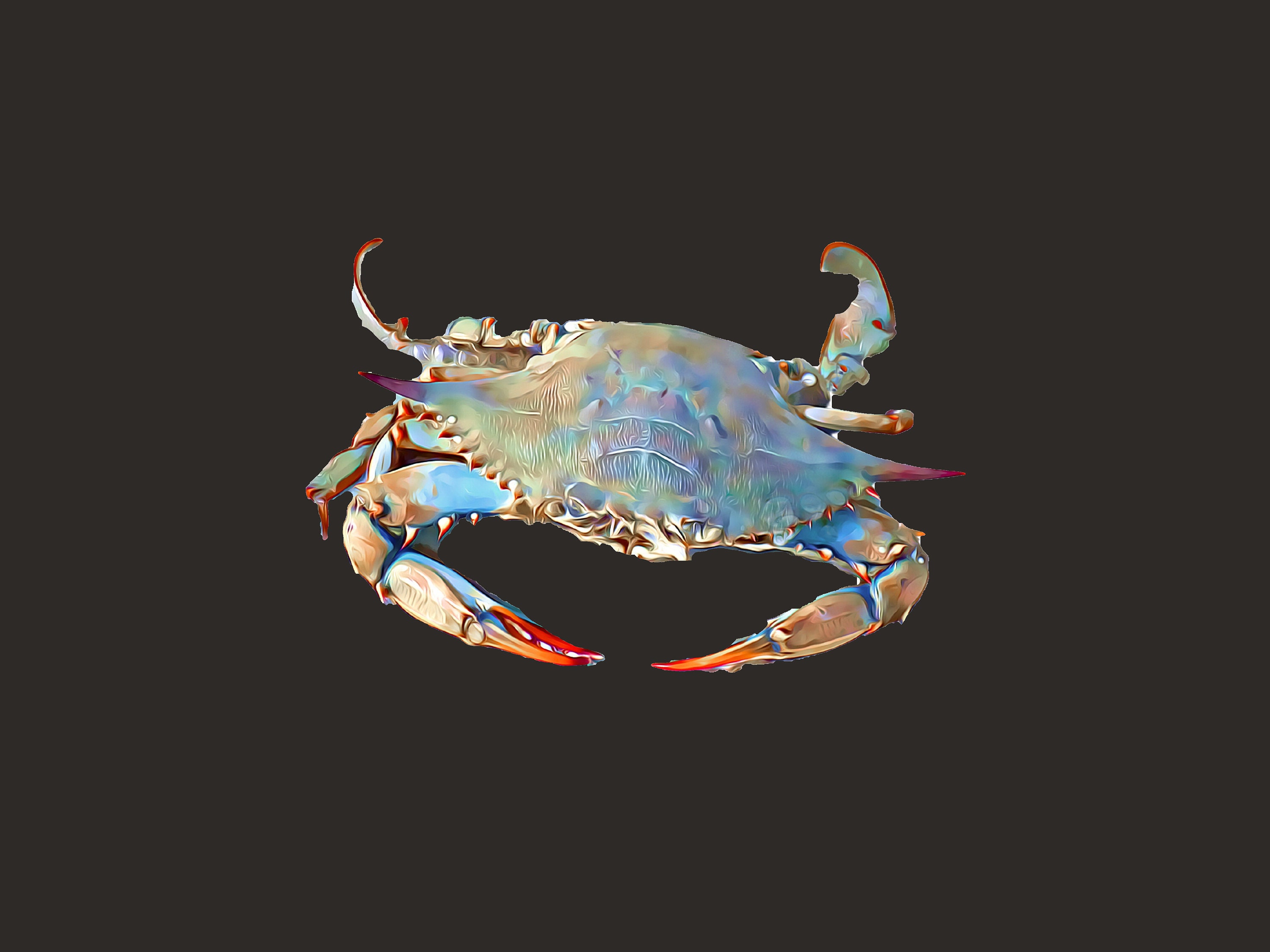 Stylized Blue Crab Digital Image on a Black Background - Etsy