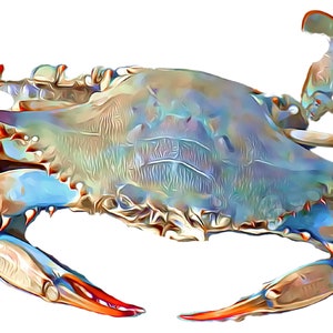 Stylized Blue Crab Digital Image on a White Background - Etsy