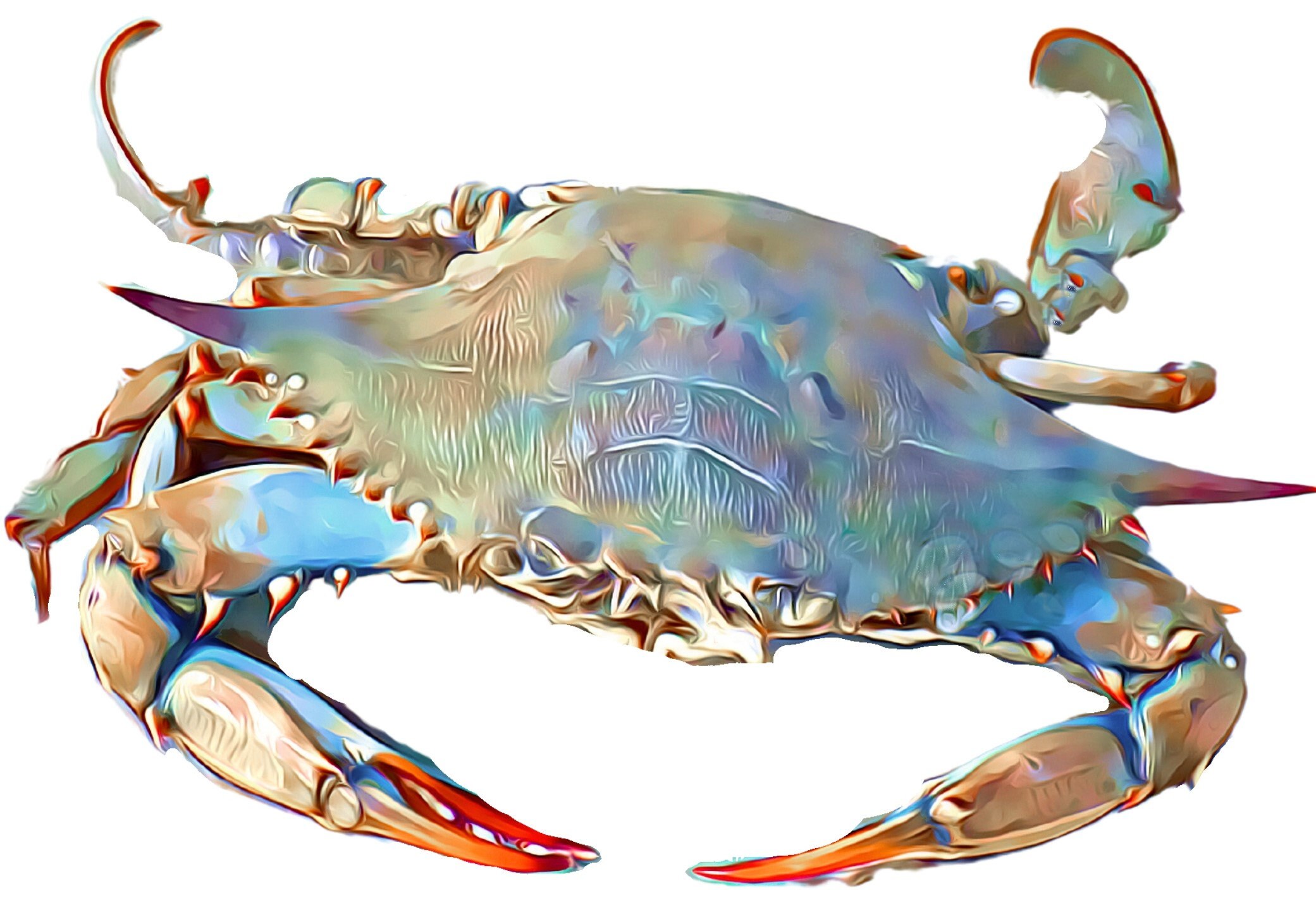 Stylized Blue Crab Digital Image on a White Background - Etsy