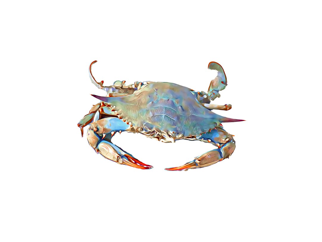 Stylized Blue Crab Digital Image on a White Background - Etsy