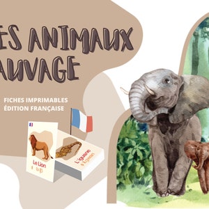 24 Printable Savannah Animals Flashcards in French - Educational ...