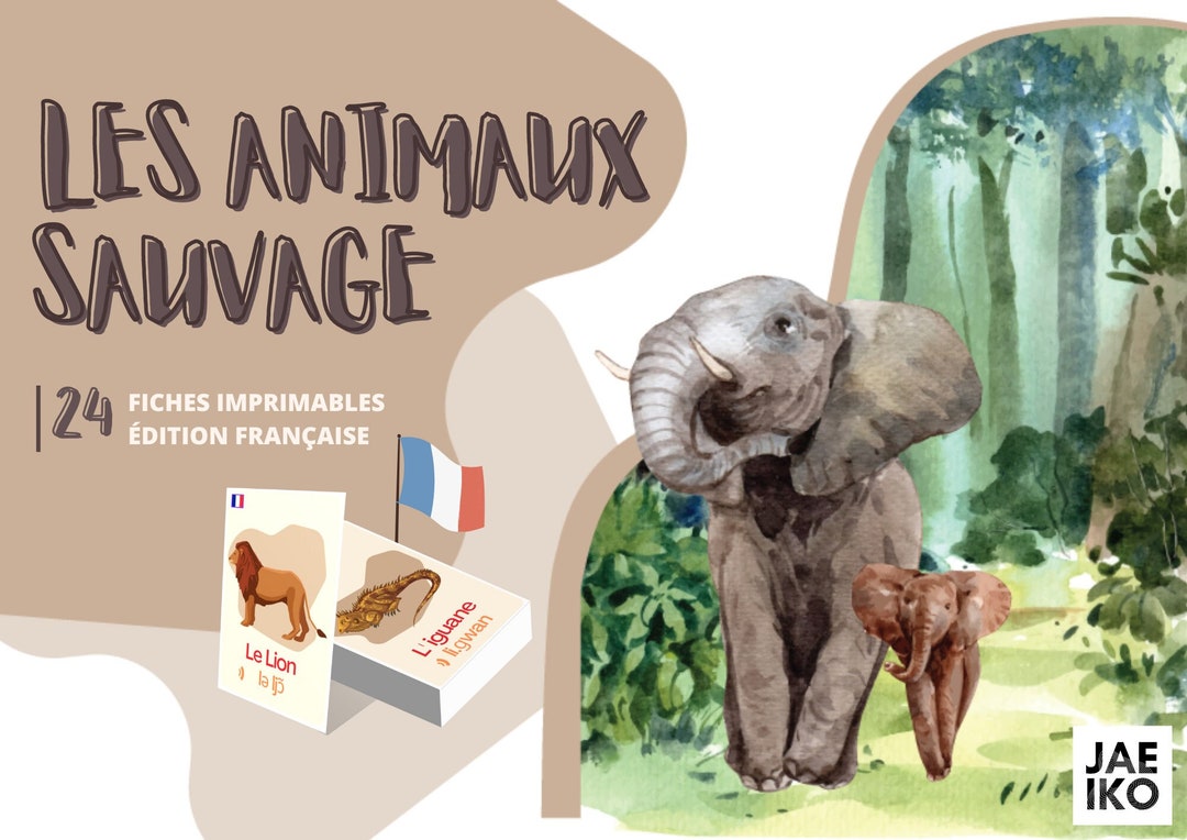 24 Printable Savannah Animals Flashcards in French - Educational ...