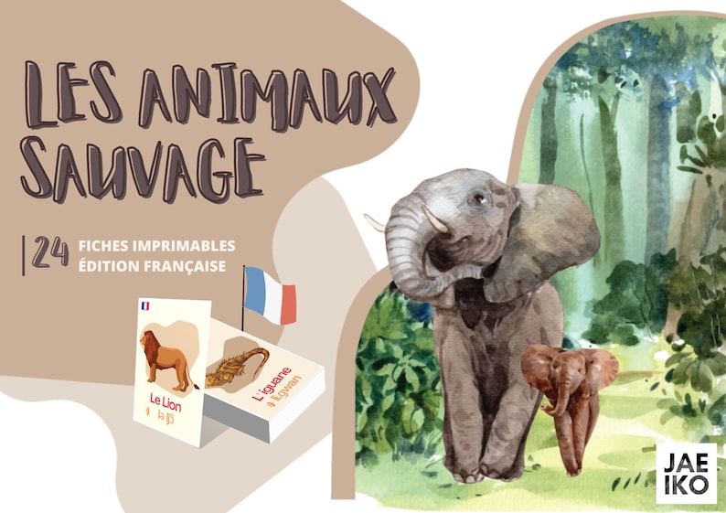 24 Printable Savannah Animals Flashcards in French - Educational ...