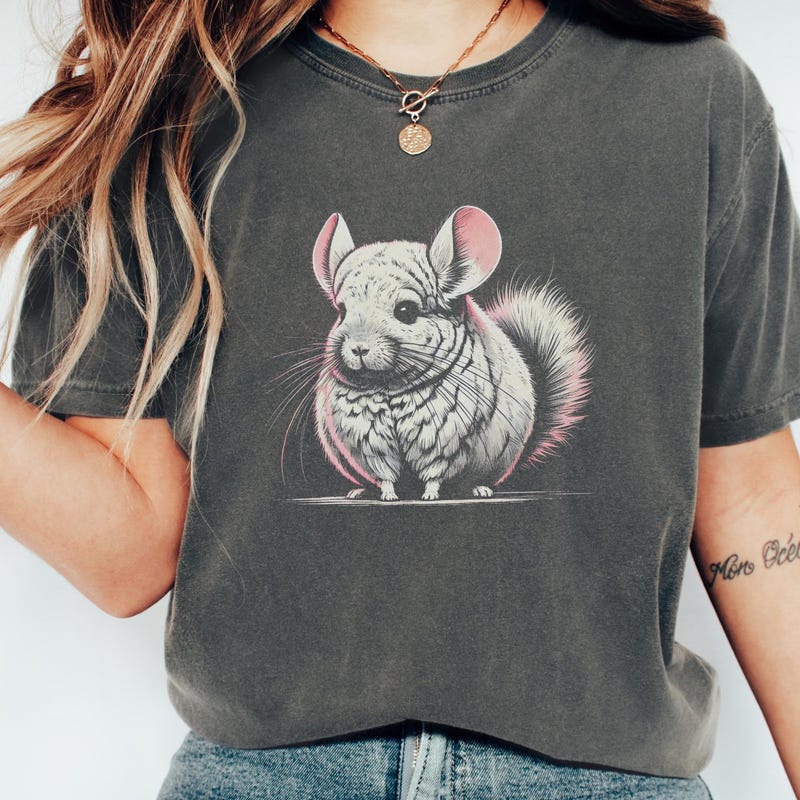 Chinchilla Art - Etsy