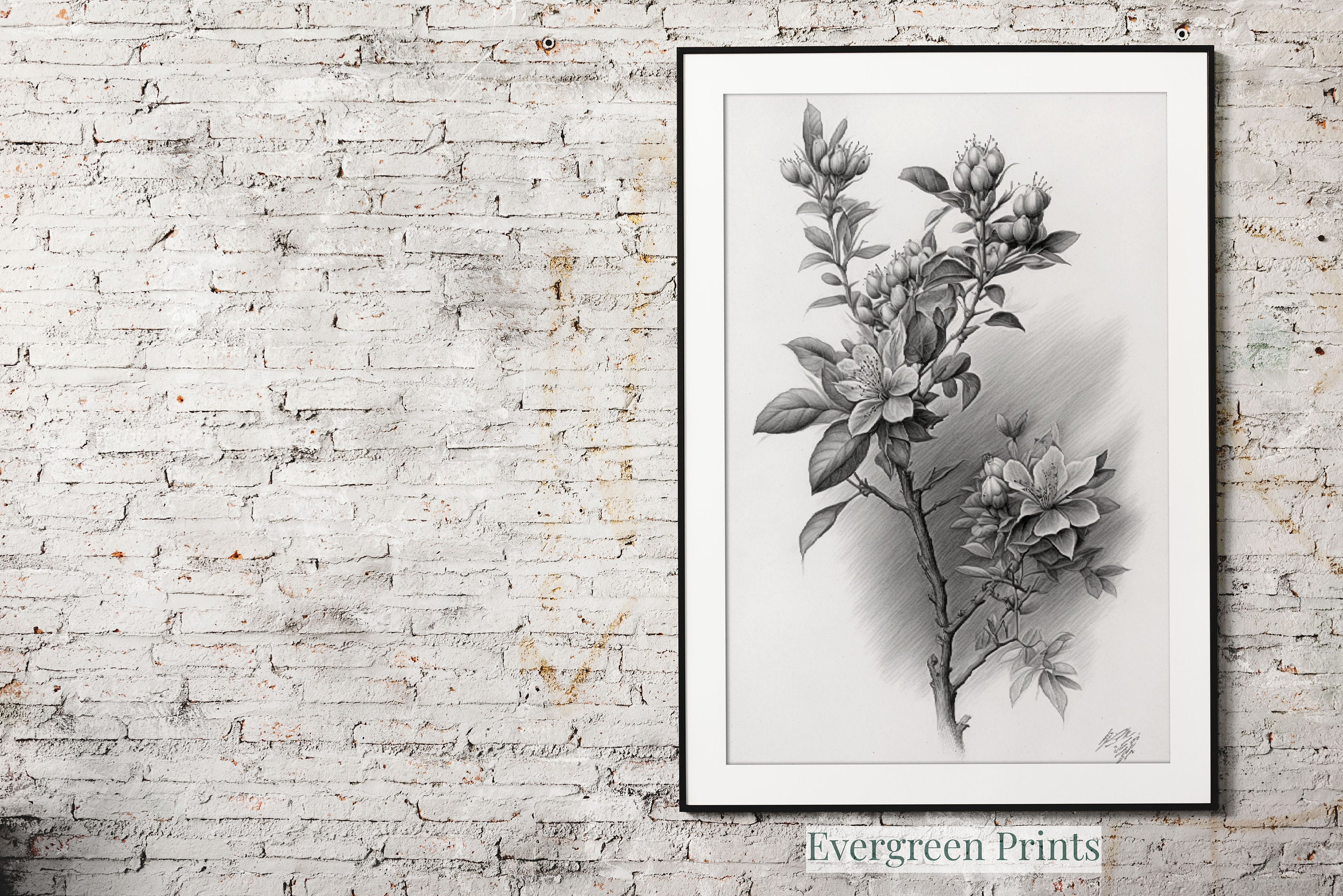 Flowering Bush Pencil Sketch - Digital Download Printable Art - Etsy