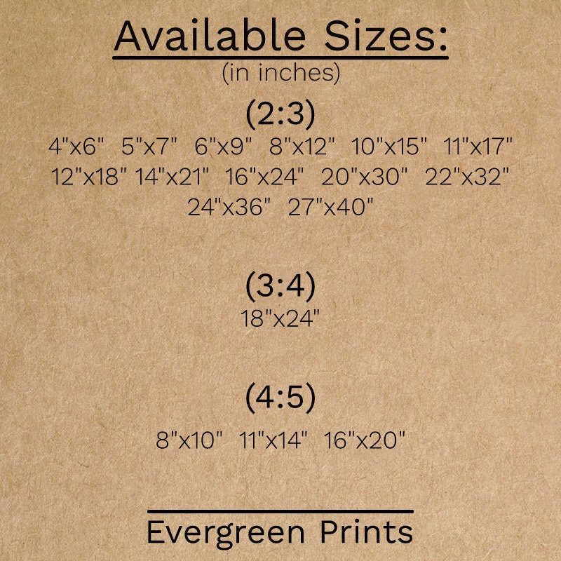 A Group of Sunflowers Digital Download Printable Art - Etsy