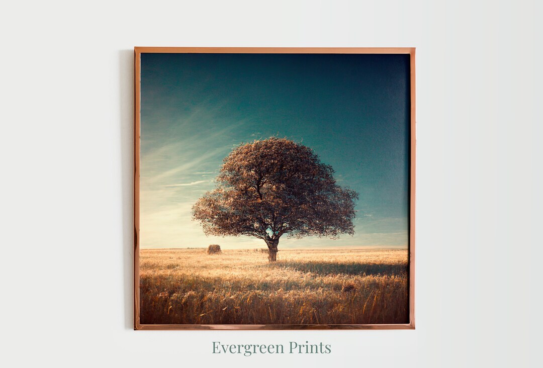 Tree in a Field - Digital Download Printable Art - Etsy