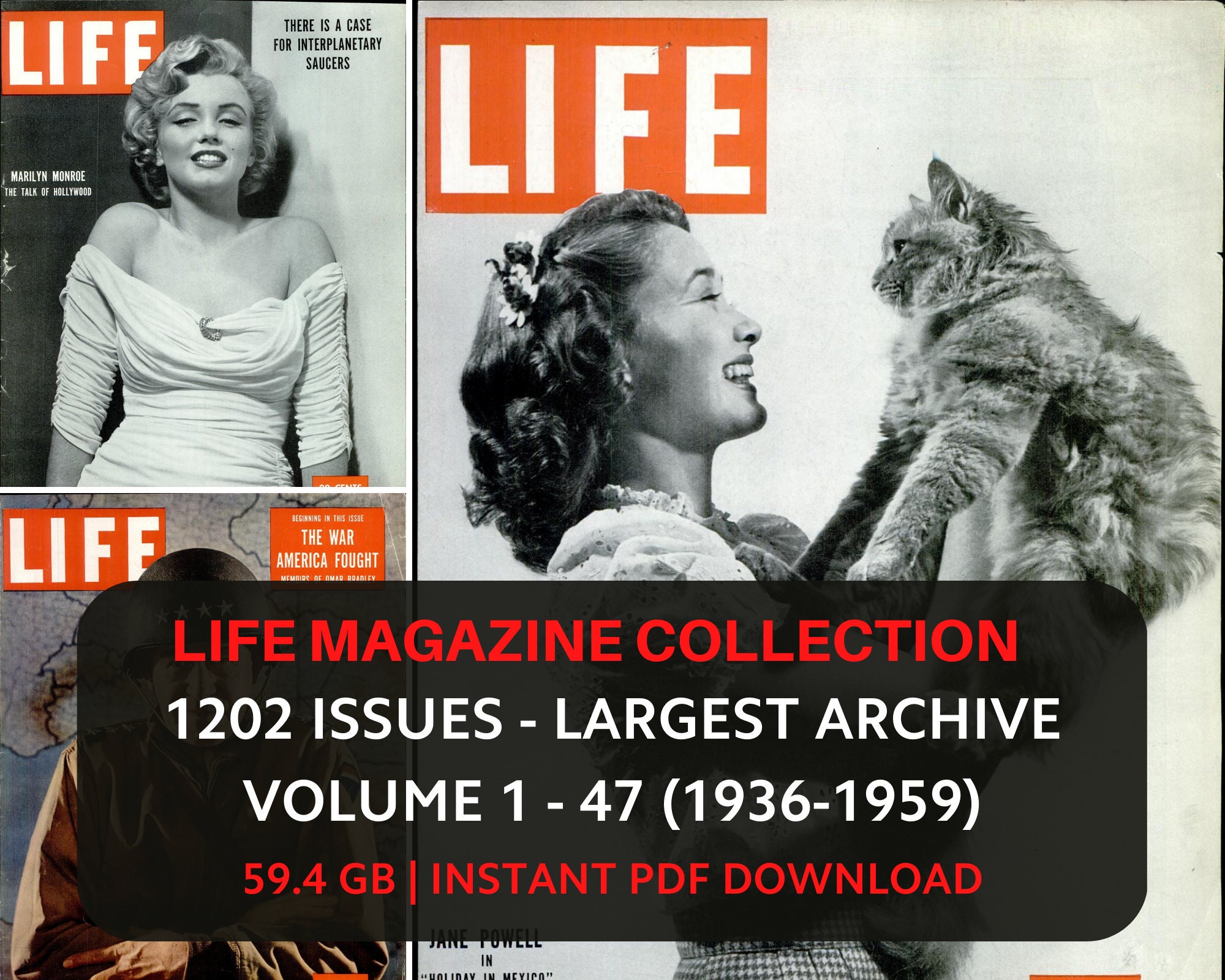 Life Magazine Archive