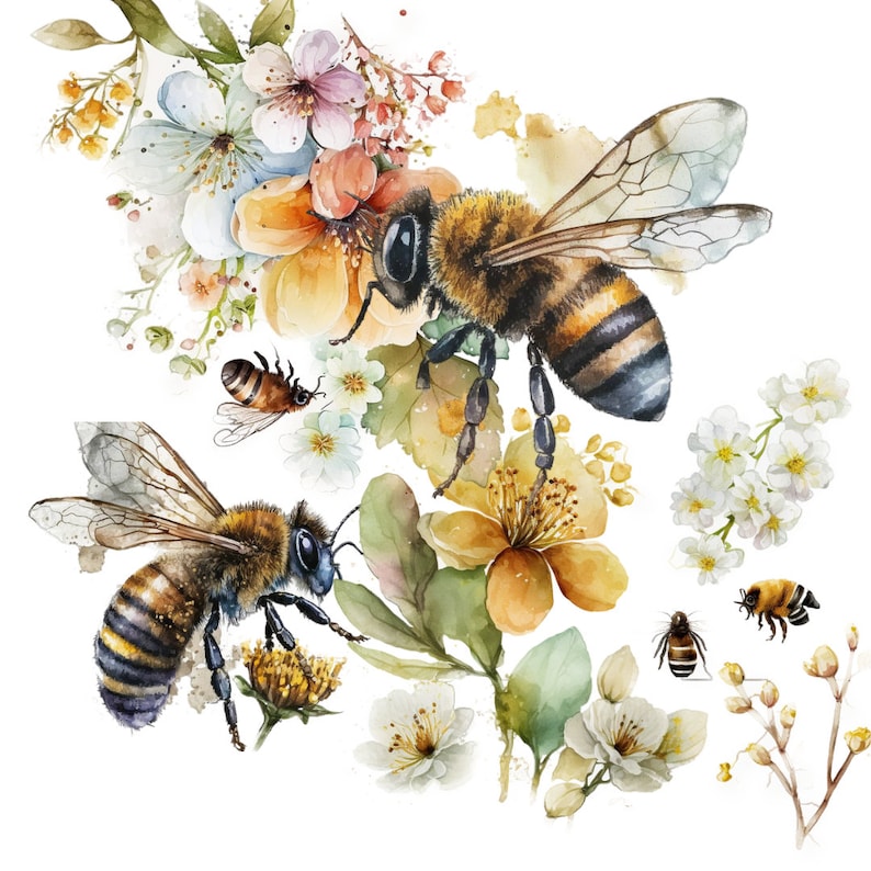 Watercolor Honey Bee Clipart, Watercolor Bee Clip Art, Spring Honey Bee ...
