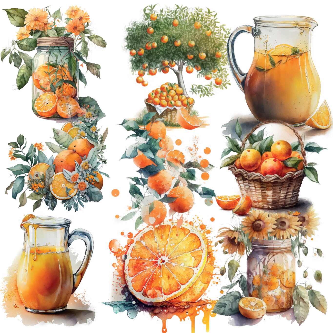 Watercolor Oranges Clipart, Commercial Use, PNG, Citrus Instant ...