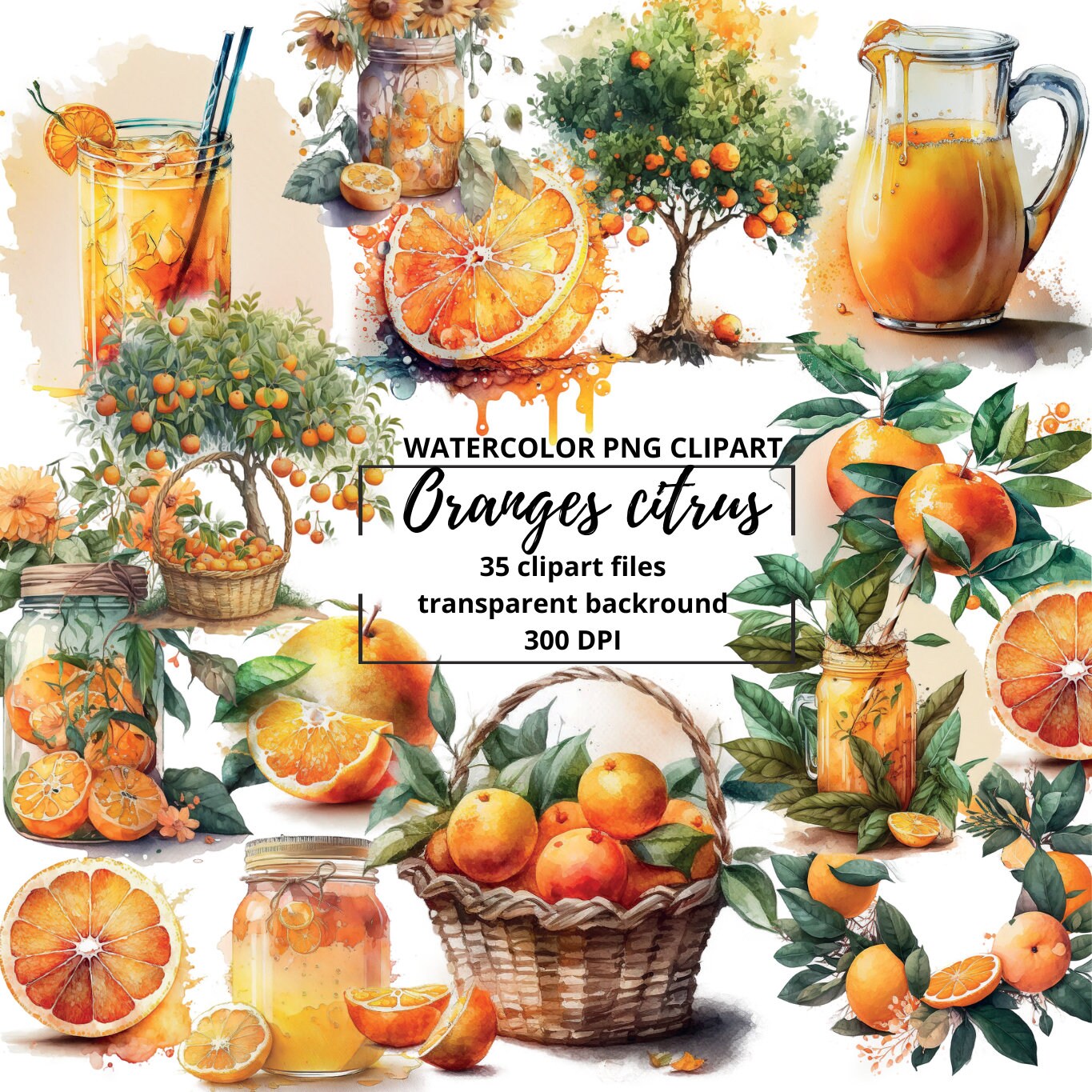 Watercolor Oranges Clipart, Commercial Use, PNG, Citrus Instant ...