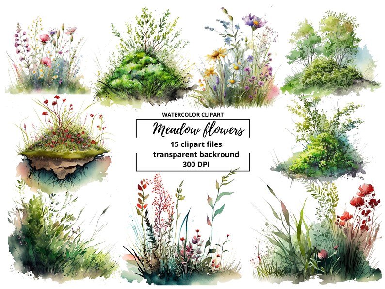 Watercolor Meadow Flower Clipart, Floral Bushes, Spring Wildflower PNG ...
