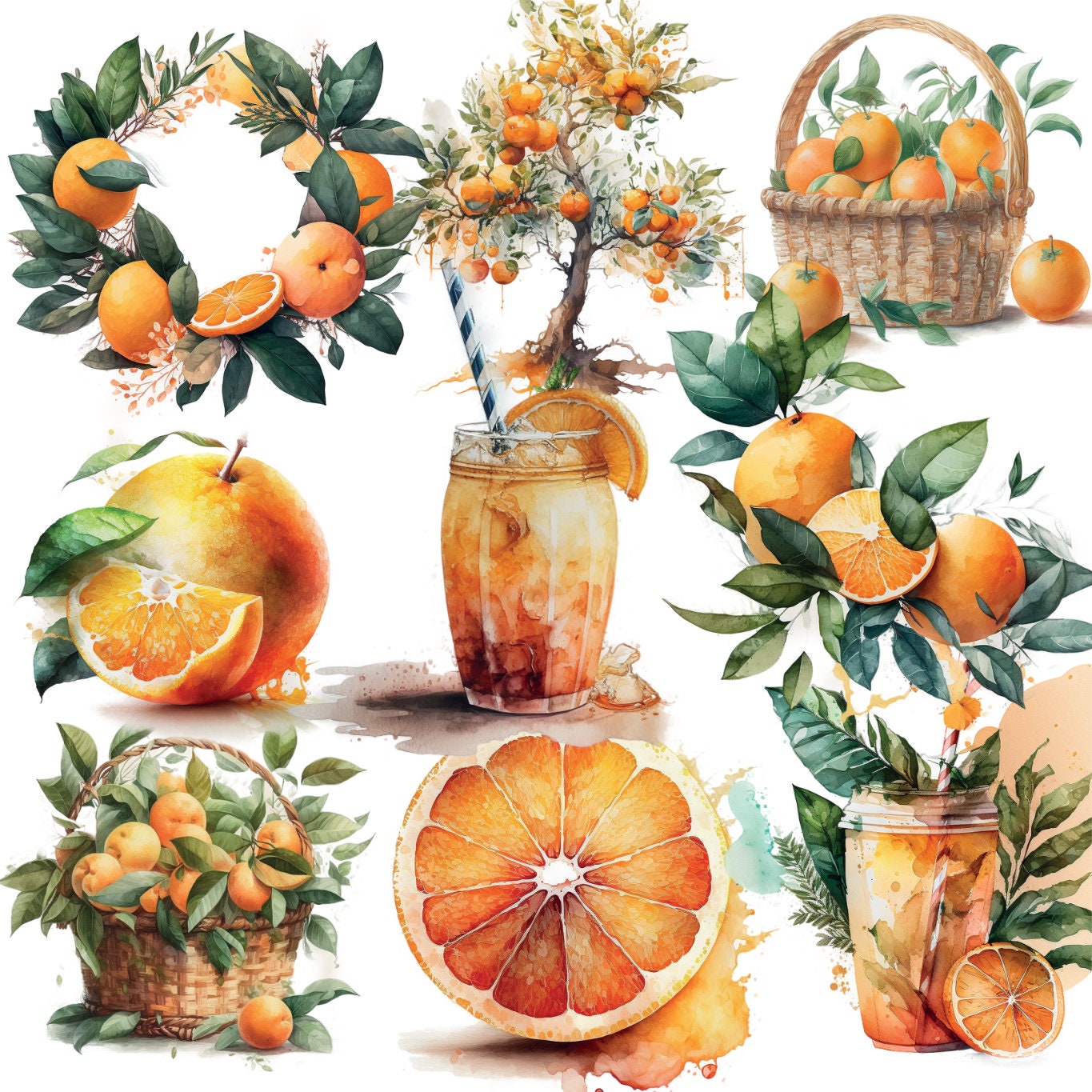 Watercolor Oranges Clipart, Commercial Use, PNG, Citrus Instant ...