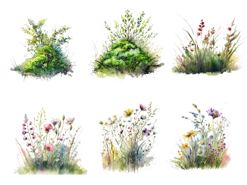 Watercolor Meadow Flower Clipart, Floral Bushes, Spring Wildflower PNG ...