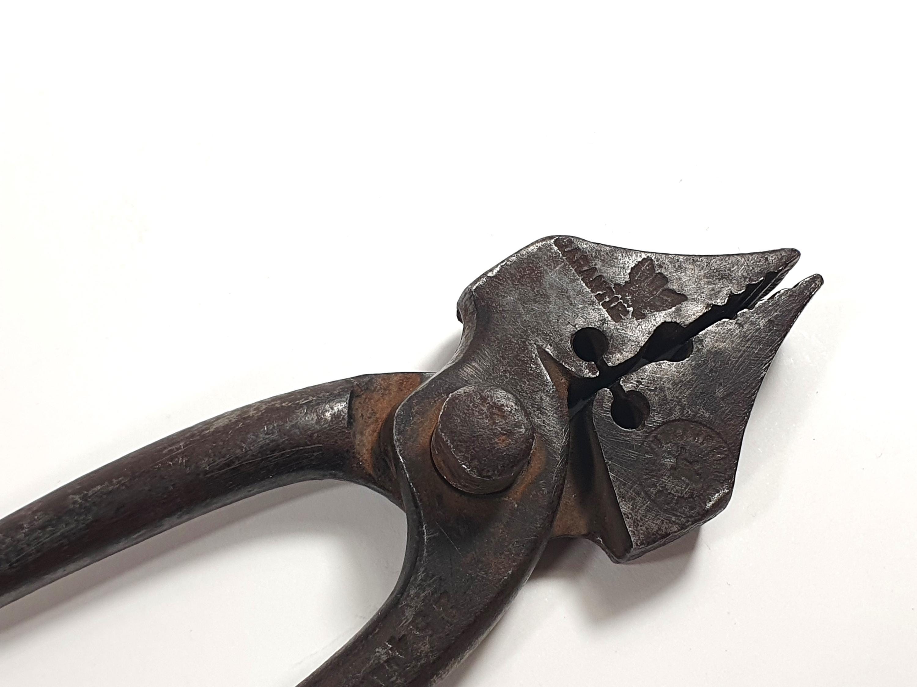 RARE Antique French Wrought Iron Cobbler's Pliers Tool 1700's/1800's ...