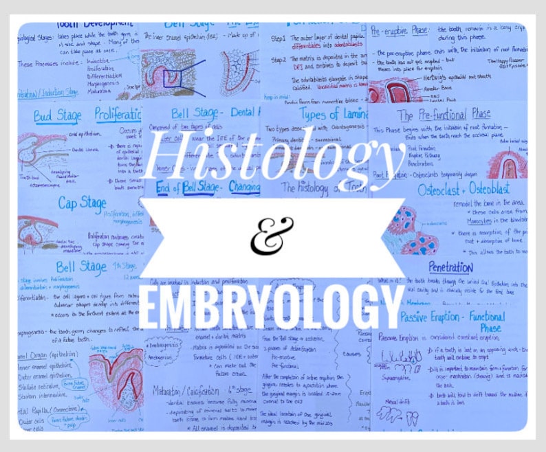 Histology & Embryology of Tooth Development and Eruption in Dental ...