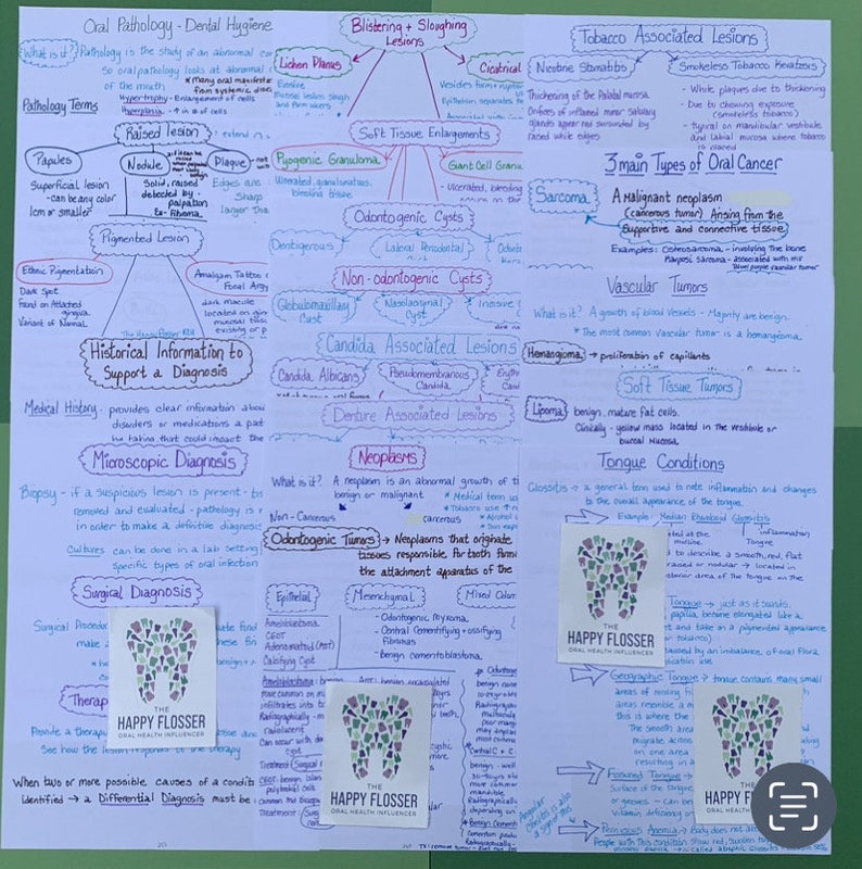 Oral Pathology Study Sheets for the Dental Hygiene Student - Etsy