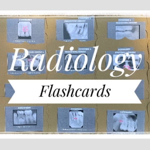 Dental Radiology Flashcards on Conditions and Anatomy - Etsy