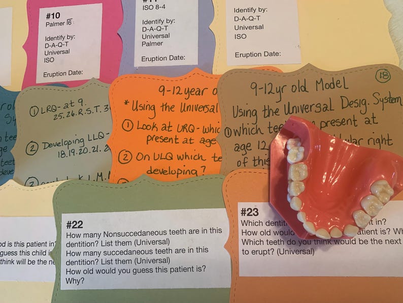 Tooth Designation, Development, and Eruption Flashcards Self Study for ...