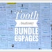 Dental Insurance CDT Codes Study Sheets - Etsy
