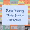 Radiology Bundle Study Sheets for Dental Students - Etsy
