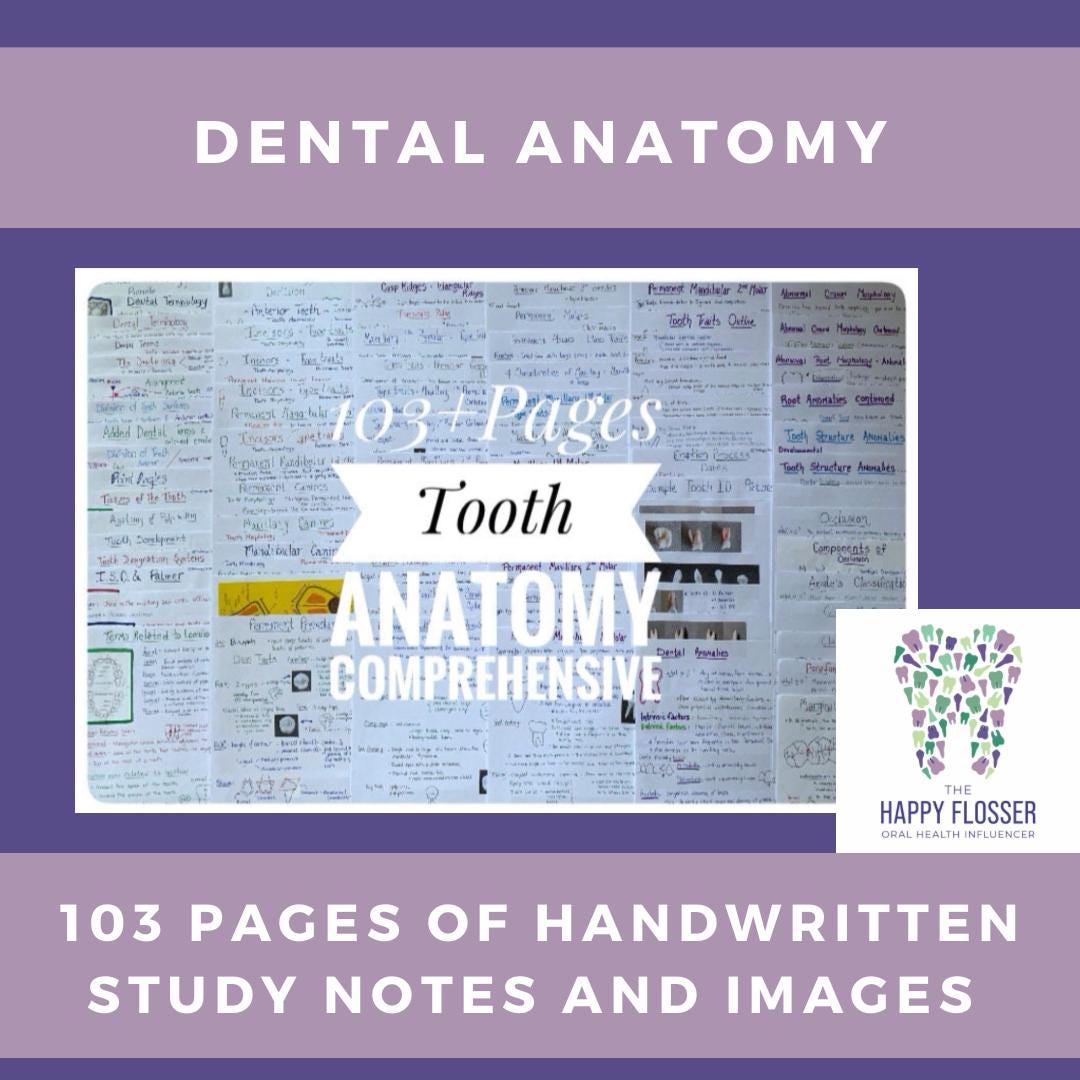 Dental Anatomy Comprehensive Digital Copy Color Study Sheets - Etsy