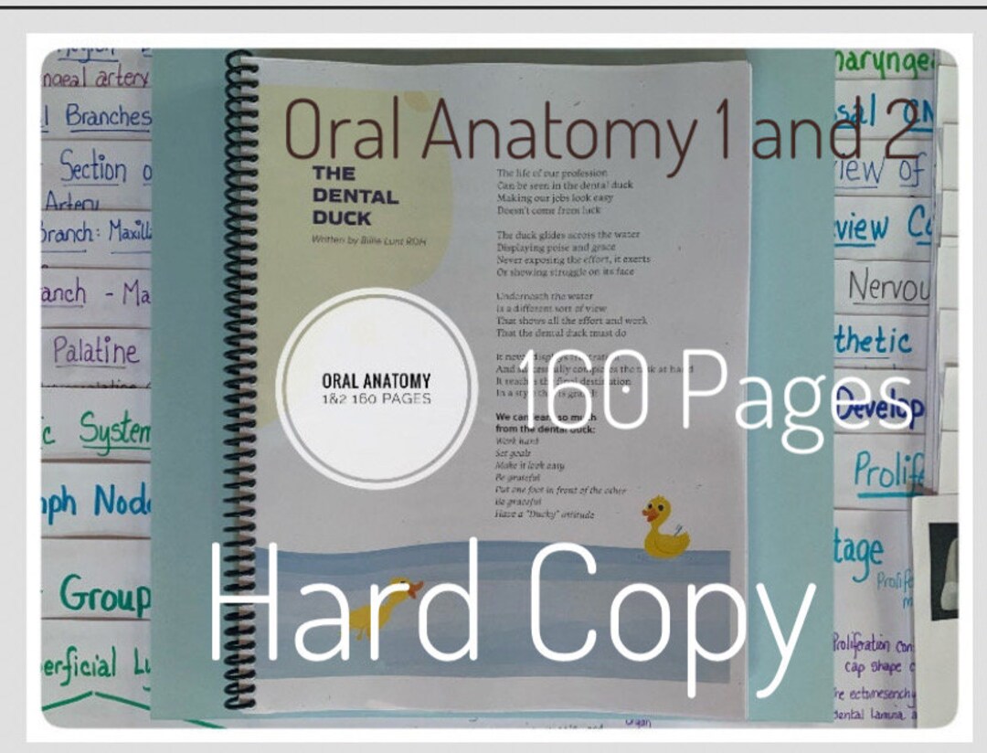 Dental Anatomy and Head and Neck Anatomy Hard Copy Color Study Sheets ...