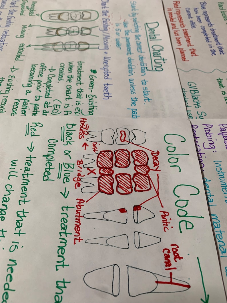 Hard Tissue Dental Charting Basics for the Dental Student - Etsy