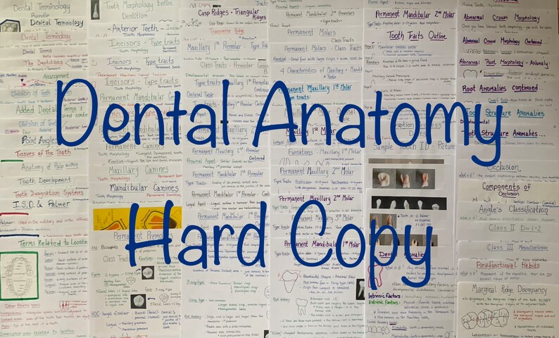 Dental Anatomy Comprehensive Hard Copy Spiralbound Book Black and White ...