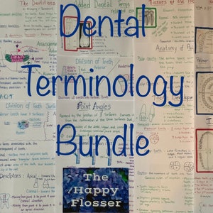 Dental Terminology Study Sheet Bundle and Flashcards for the Dental ...