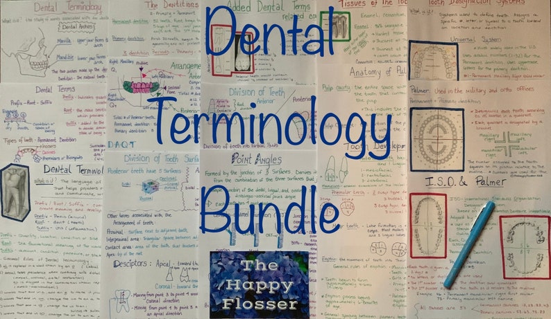 Dental Terminology Study Sheet Bundle and Flashcards for the Dental ...