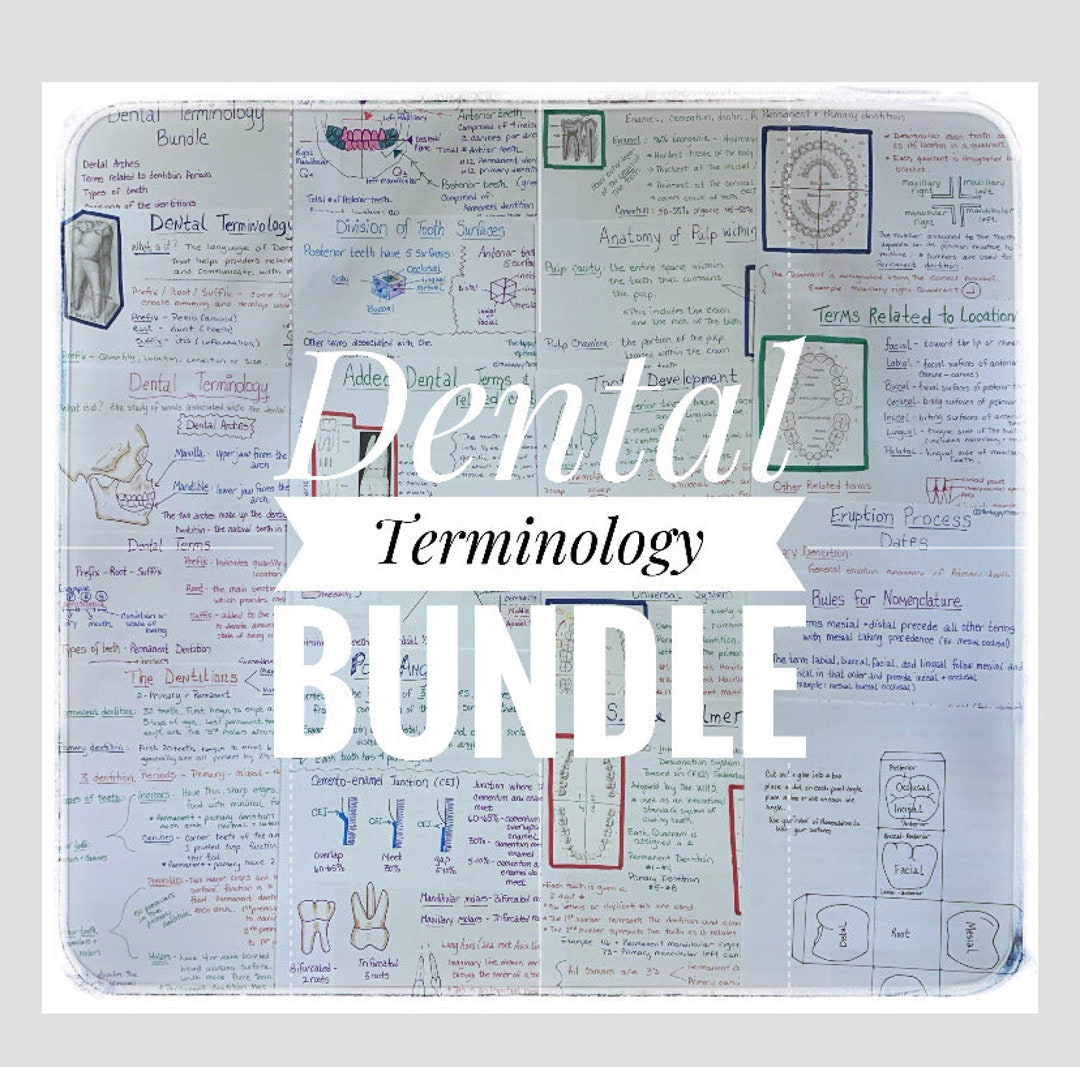 Dental Terminology Study Sheet Bundle for the Dental Hygiene Student - Etsy