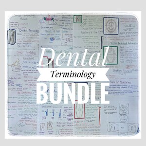 Dental Terminology Study Sheet Bundle and Flashcards for the Dental ...