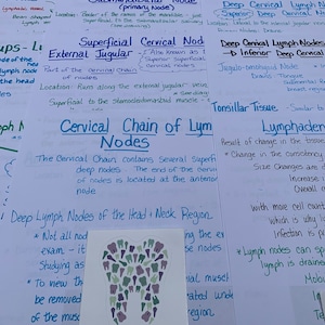 Lymphatic System Study Sheets for Dental Hygiene Students - Etsy