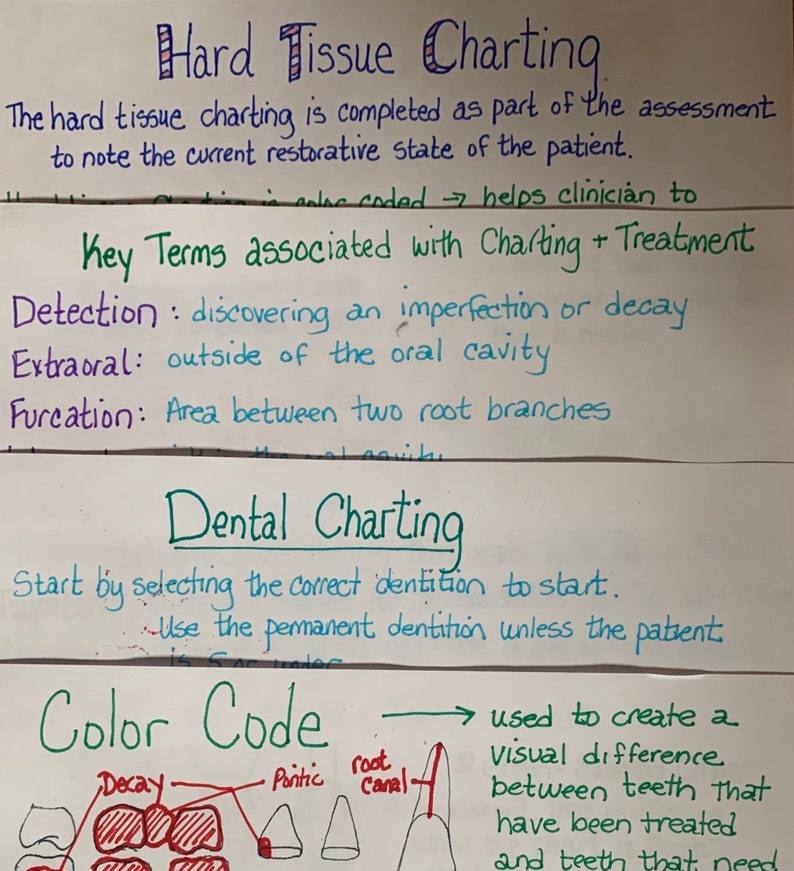 Hard Tissue Dental Charting Basics for the Dental Student - Etsy