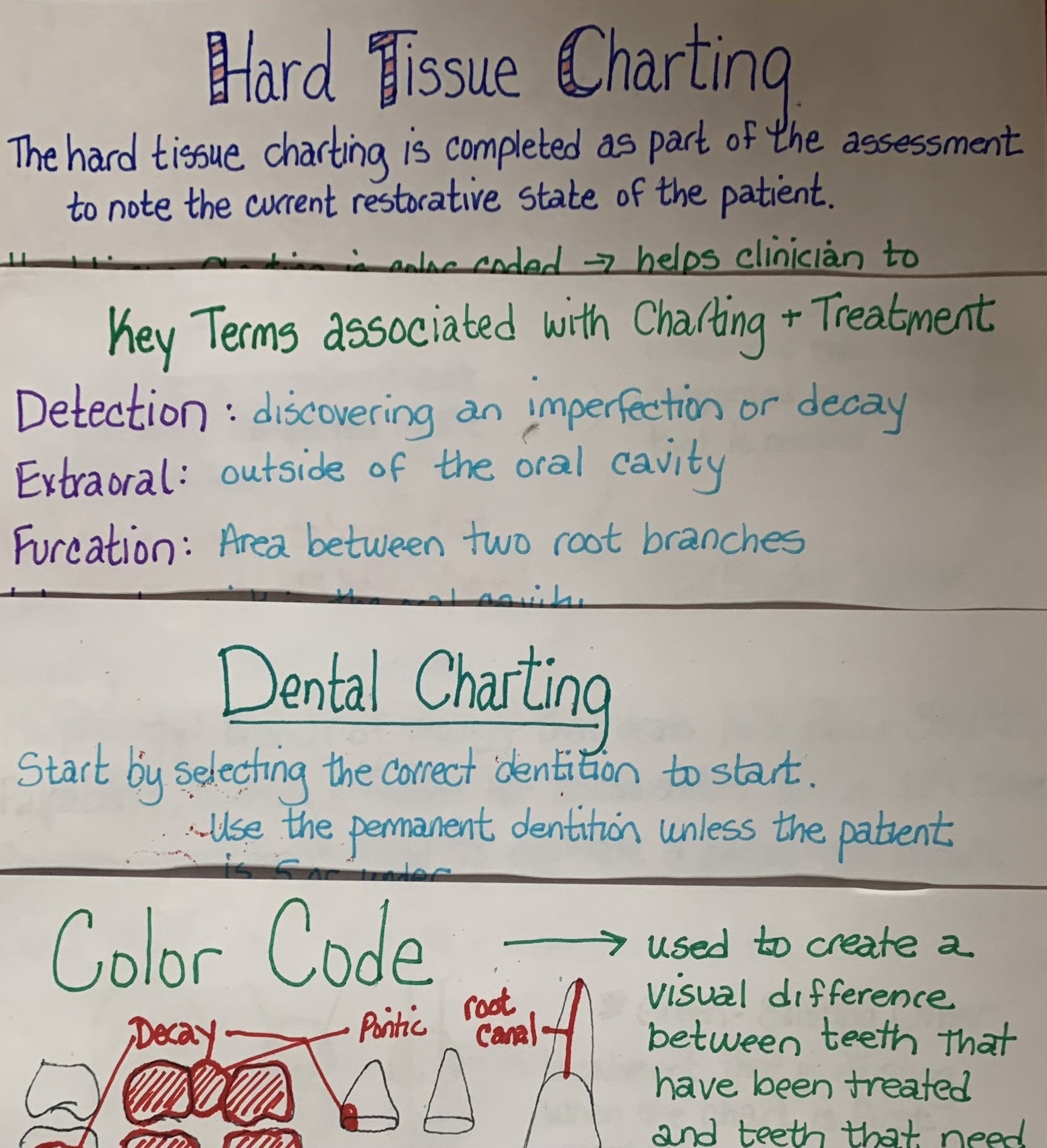 Hard Tissue Dental Charting Basics for the Dental Student - Etsy