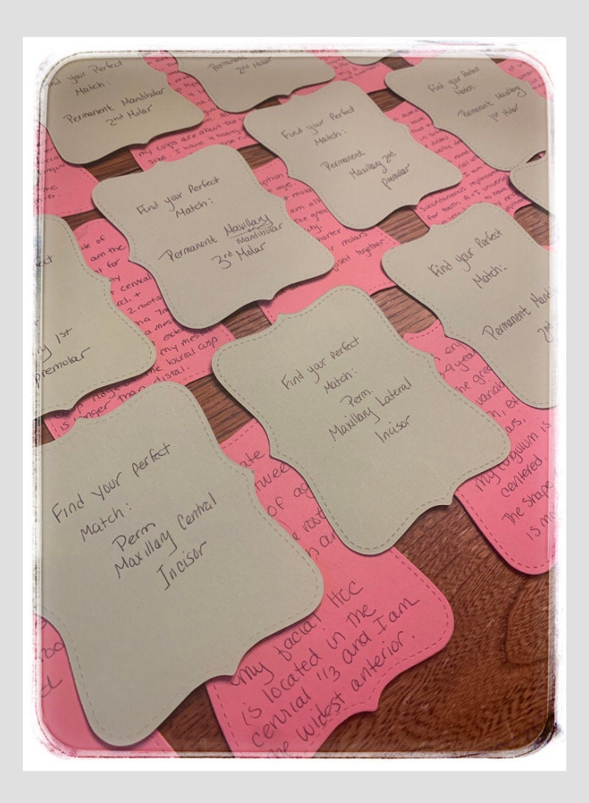 Find Your Perfect Match Flashcard Game on Tooth Anatomy for Dental ...