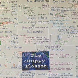 Radiology Bundle Study Sheets for Dental Students - Etsy