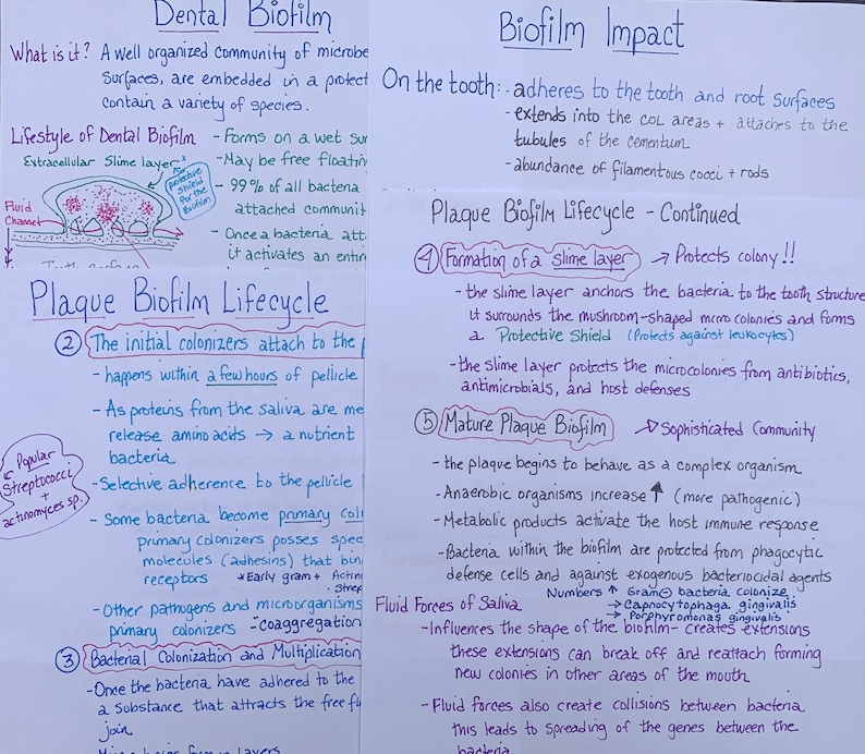 Dental Plaque Biofilm Study Notes for Dental Hygiene Students - Etsy