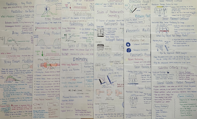 Radiology Bundle Study Sheets for Dental Students - Etsy