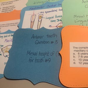 Anterior Tooth Morphology Dental Hygiene Anatomy Study Sheets and ...