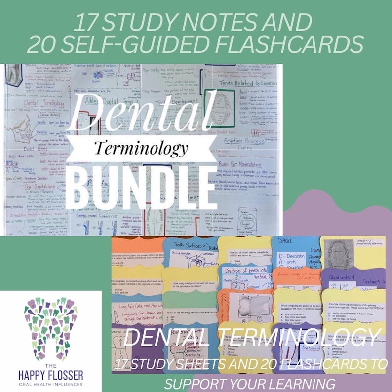 Dental Terminology Study Sheet Bundle and Flashcards for the Dental ...