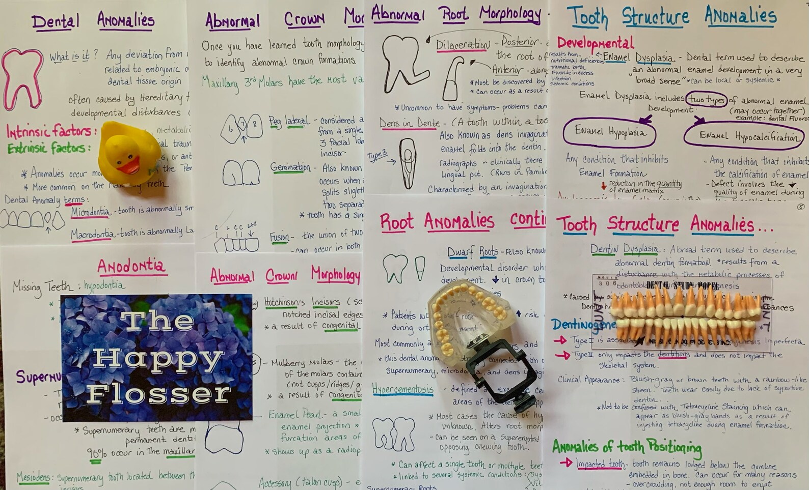 Anomalies in Dental Study Sheets for Dental Hygiene Students - Etsy