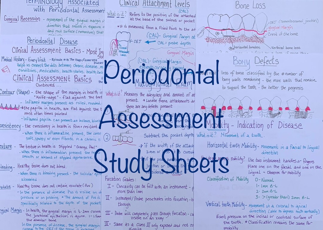 Periodontal Assessment Study Sheets for the Dental Hygiene - Etsy