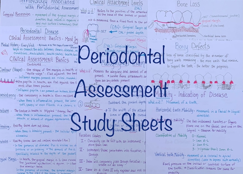 Periodontal Assessment Study Sheets for the Dental Hygiene Student - Etsy