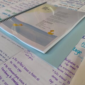 Histology Embryology and Dental Anatomy Hard Copy Color Study Sheets ...