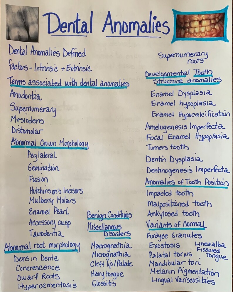 Anomalies in Dental - Study Sheets for Dental Hygiene Students - Etsy